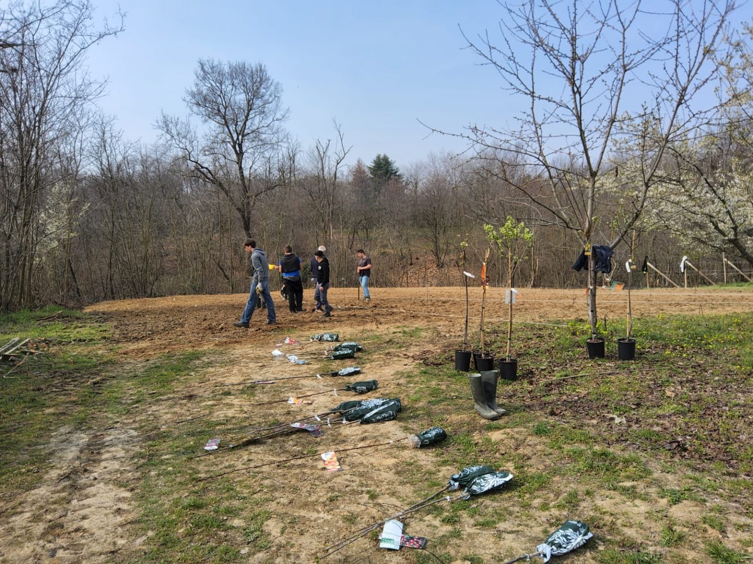 I.I.S. “G. Bonfantini” – Boieri S.r.l.