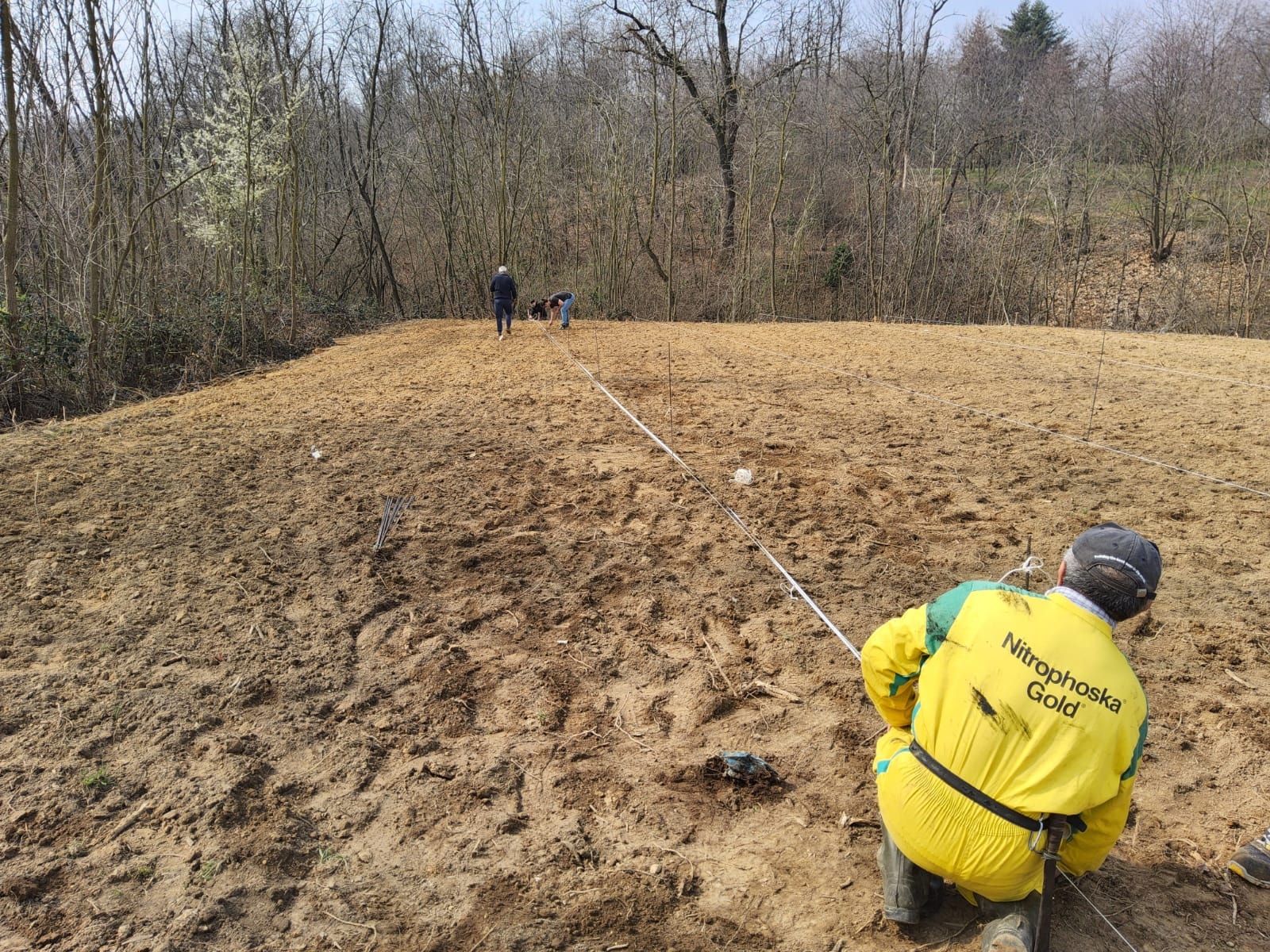 I.I.S. “G. Bonfantini” – Boieri S.r.l.