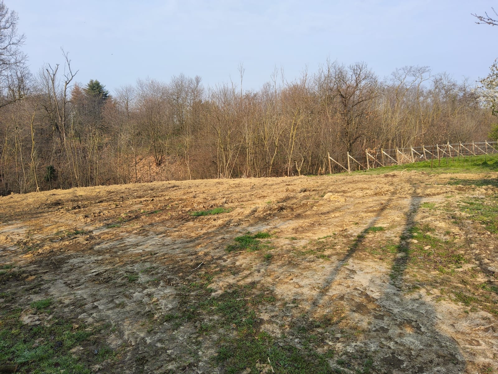 I.I.S. “G. Bonfantini” – Boieri S.r.l.