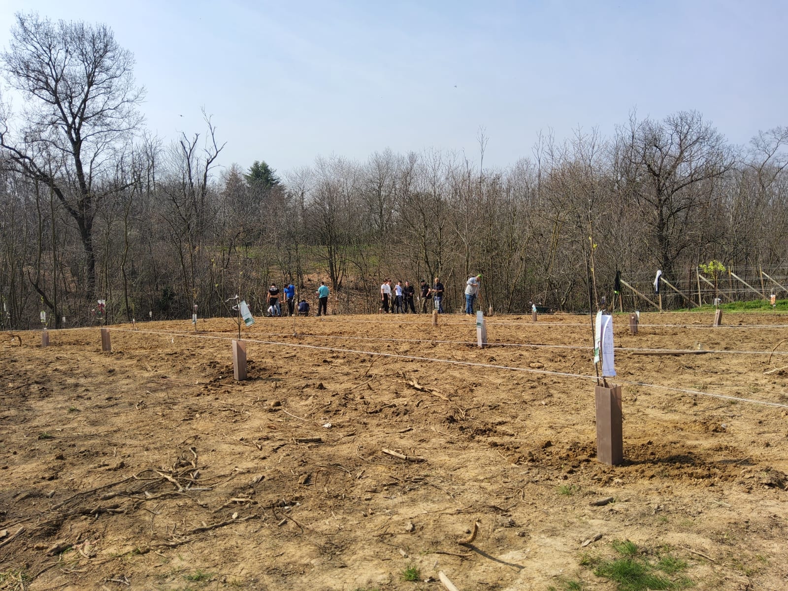 I.I.S. “G. Bonfantini” – Boieri S.r.l.