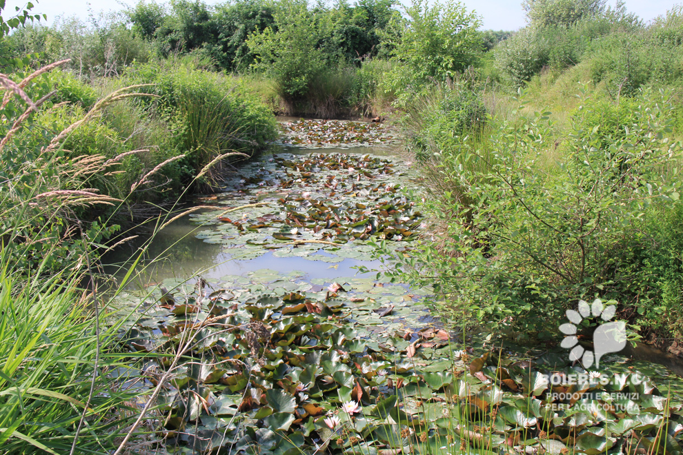 Tra una risaia e l’altra a volte si incontrano fantastiche sorprese ...